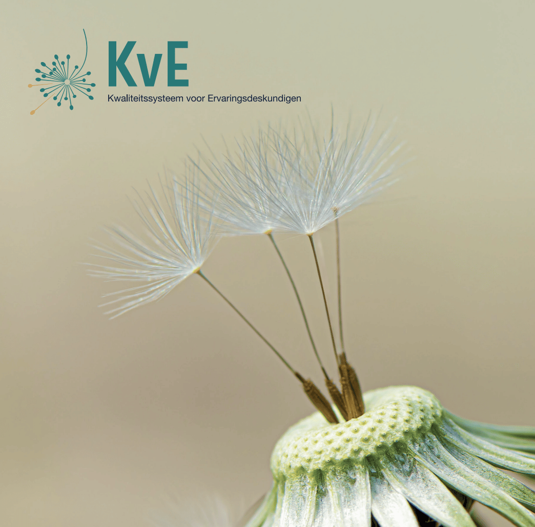 Presentatie Kwaliteitssysteem voor Ervaringsdeskundigen