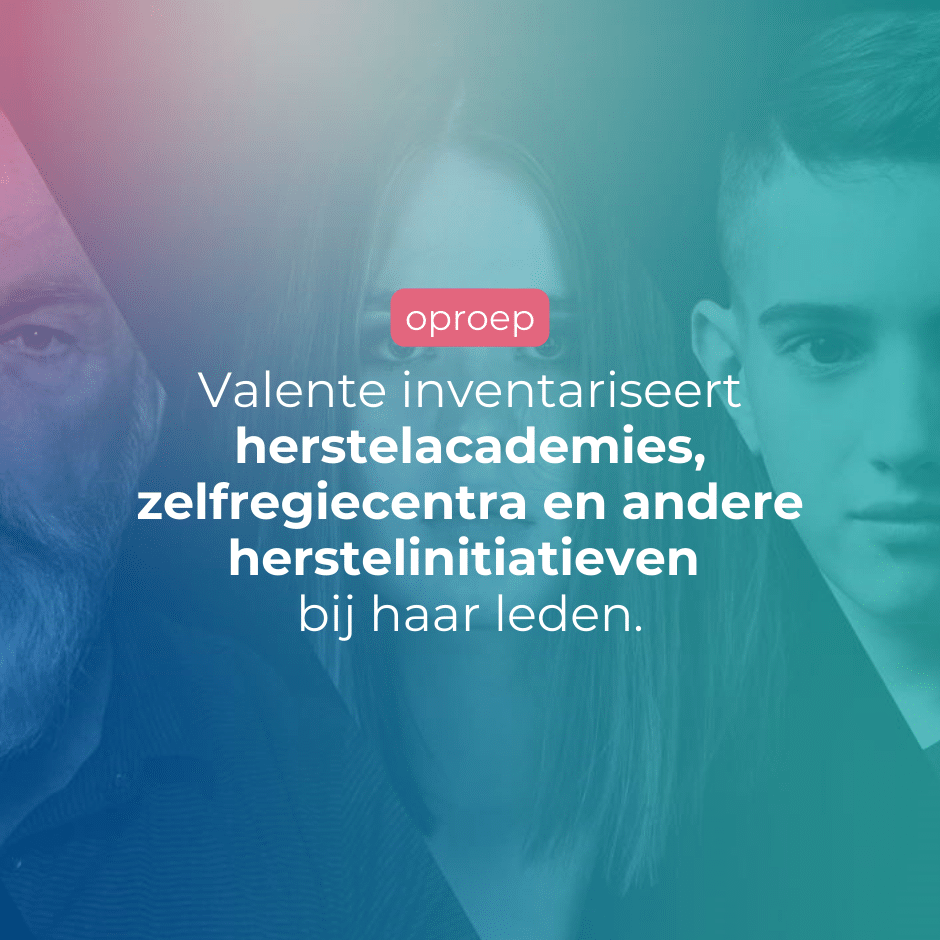 Oproep in het kader van laagdrempelige steunpunten - Vereniging Valente