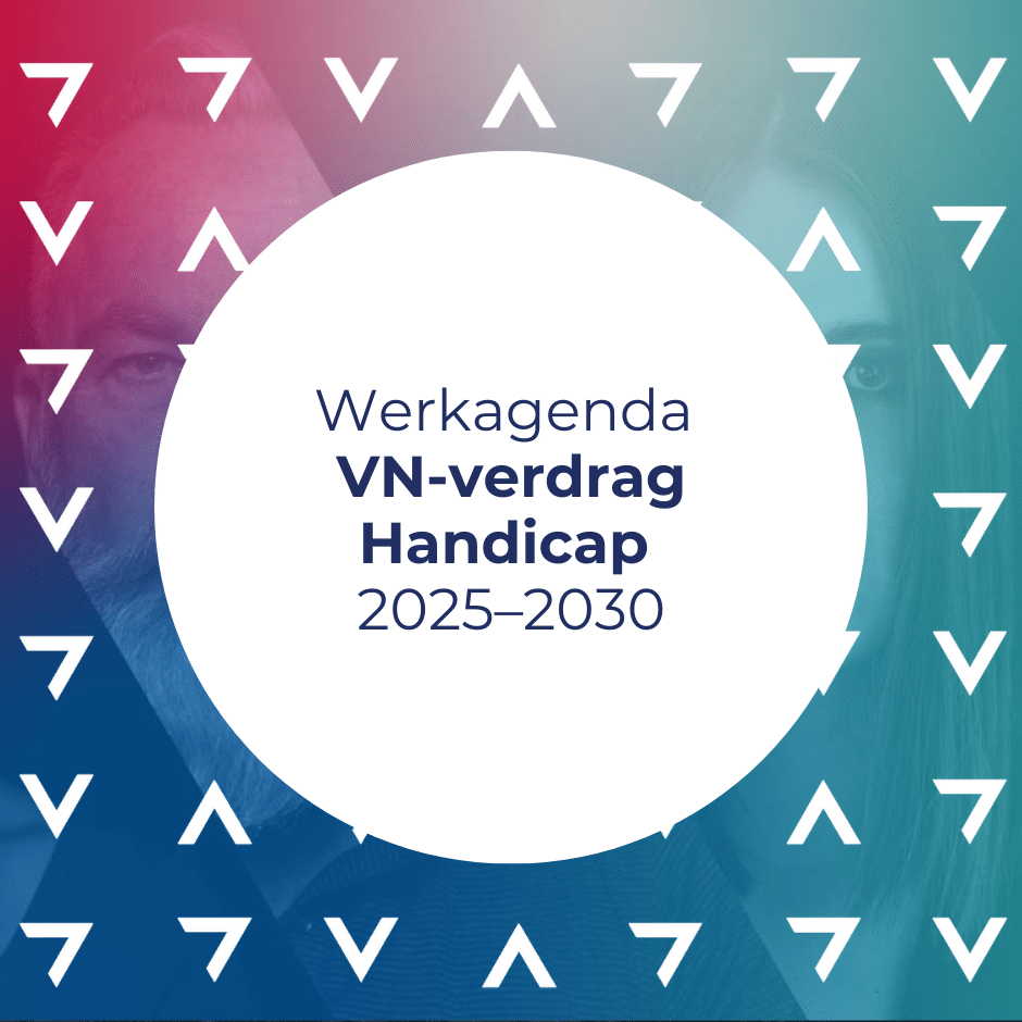 Werkagenda VN-verdrag handicap 2025-2030 over participatie en ...